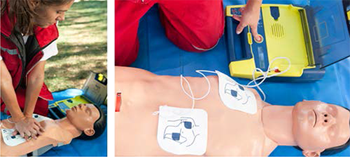 Lightning Bolts, Defibrillators, and Protection Citcuitry Saves Lives ...